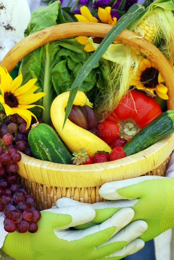 Flower Garden stock image. Image of edging, blue, gardening - 5436779