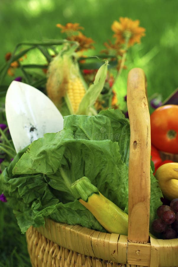 Flower Garden stock image. Image of edging, blue, gardening - 5436779