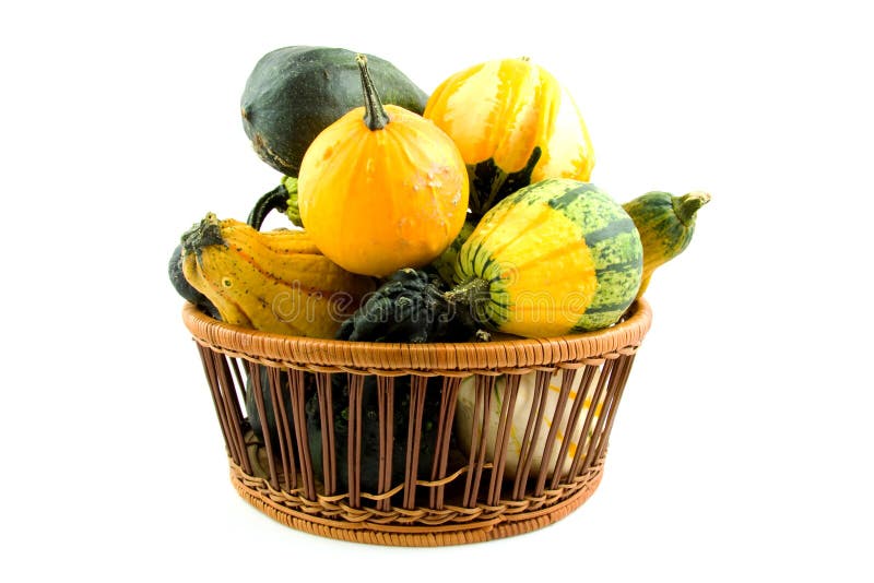 Autumn Basket stock photo. Image of life, autumn, basket - 305396