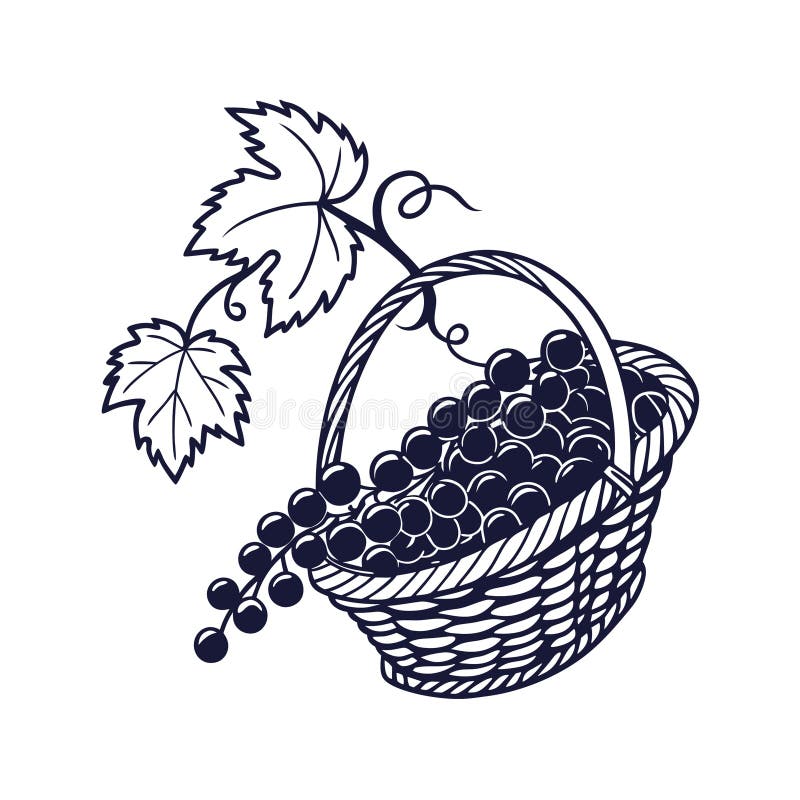 Basket of Grapes Line Art Vector Illustration Stock Illustration ...