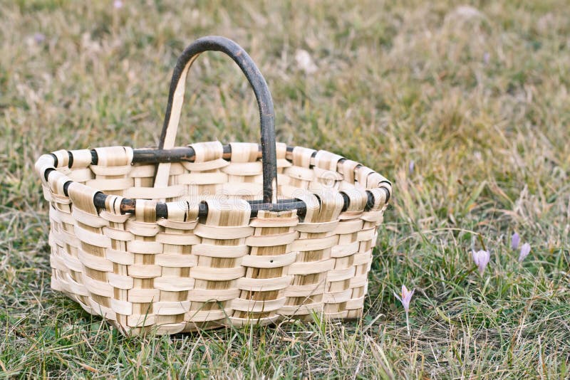 Basket on the Grass stock photo. Image of aged, basket - 21841628