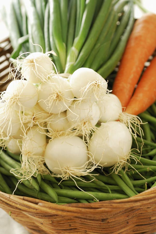 Basket of Green Beans and Spring Onions Stock Photo - Image of grelot ...