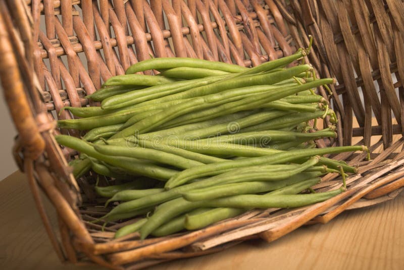Basket of Green Bobby Beans Stock Image - Image of bobby, food: 4901187