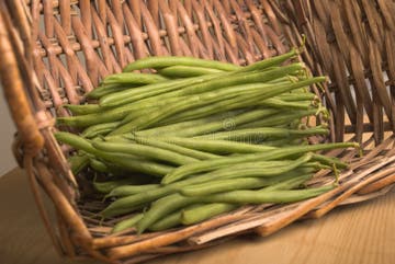 1+ Basket green bobby beans Free Stock Photos - StockFreeImages