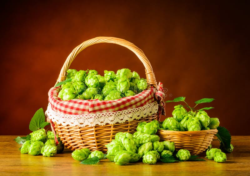 458 Basket Hops Stock Photos - Free & Royalty-Free Stock Photos from ...