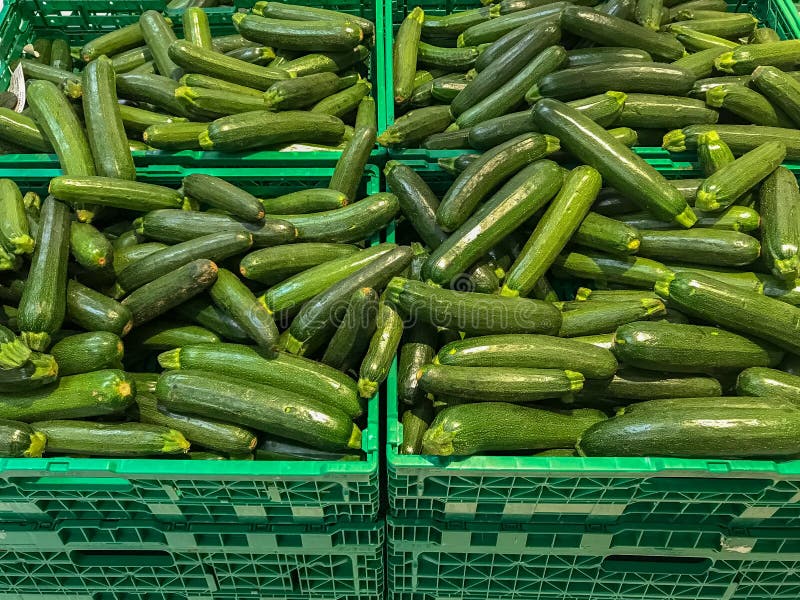 Group of zucchini stock image. Image of fruits, zucchini - 111182335
