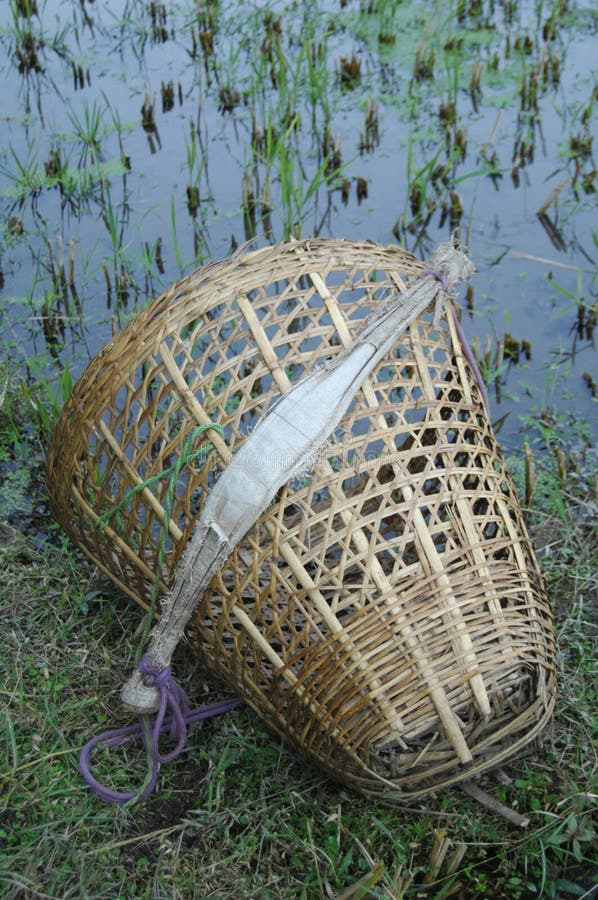 Doko Basket Nepal Stock Photos - Free & Royalty-Free Stock Photos from ...