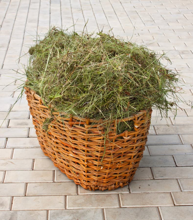 Basket with hay stock photo. Image of stones, wattled - 14699518