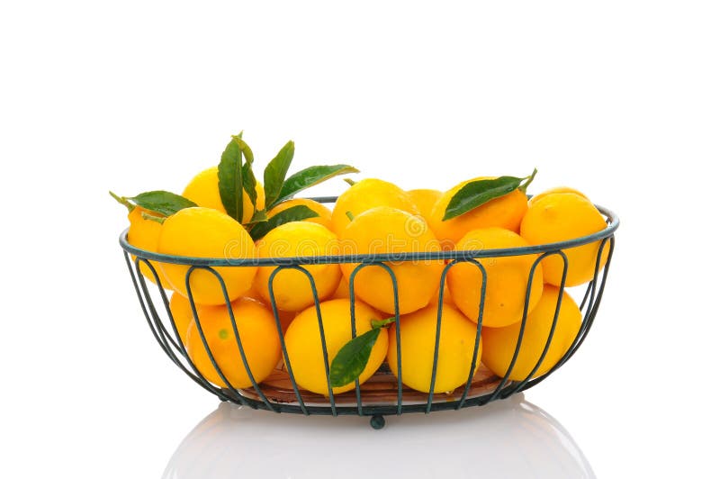 Basket of Lemons stock photo. Image of basket, twig, yellow - 28440778