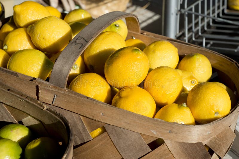 Lemon Basket stock image. Image of outdoors, taste, food - 29783103