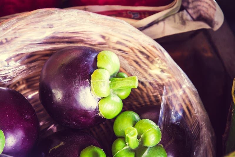 Mangustin s fruit . stock image. Image of mangustins - 76887449