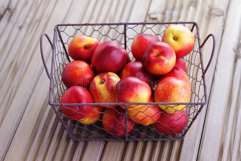 Basket of nectarines stock photo. Image of organic, nectarine - 41151816