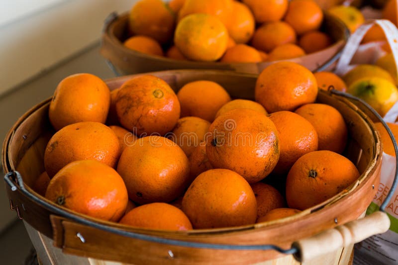 A Basket of Oranges at a Florida Orange Farm Stock Photo - Image of ...