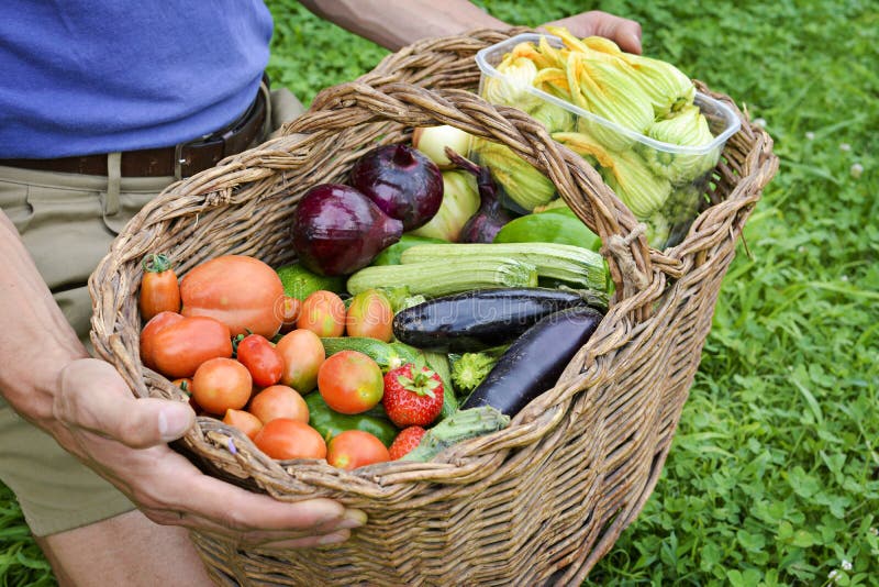 Organic Produce at Farmers Market Stock Photo - Image of vegetable ...