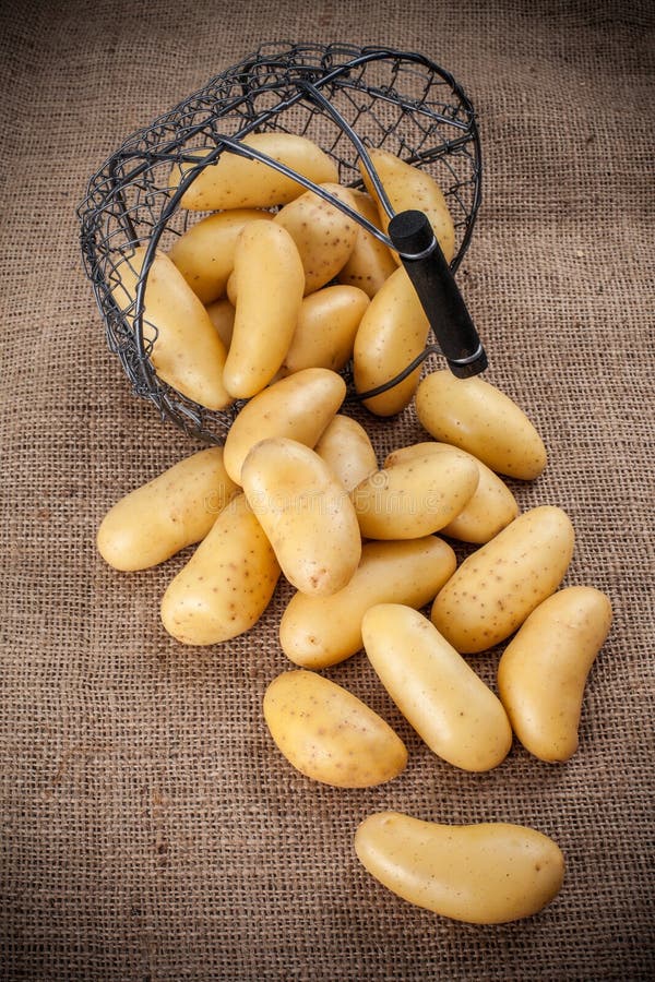Basket of Potatoes on Hemp Bag Stock Photo - Image of burlap, root ...
