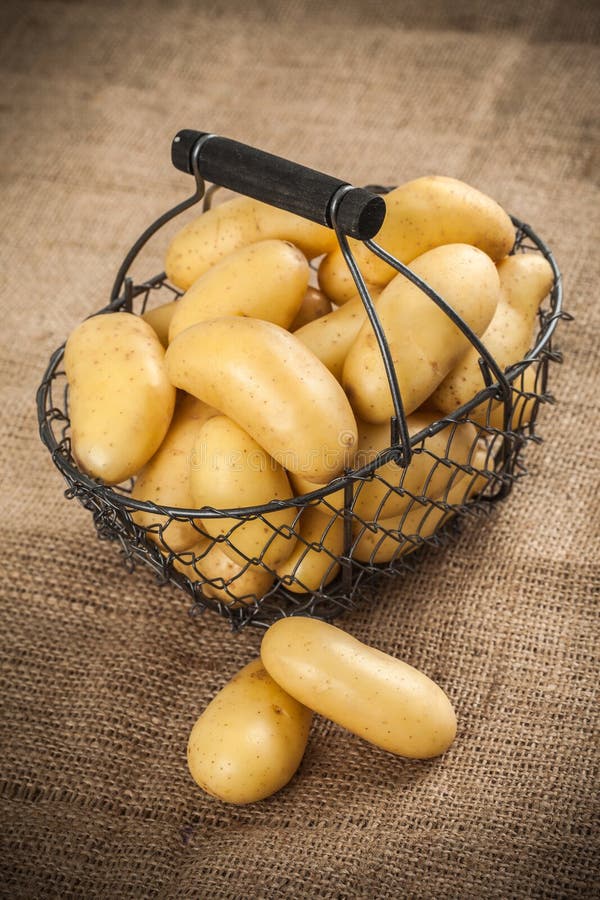 Basket of Potatoes on Hemp Bag Stock Photo - Image of agriculture ...