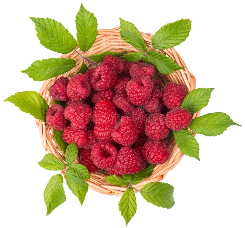 Basket of Raspberries with Leaves, Top View Stock Photo - Image of ...
