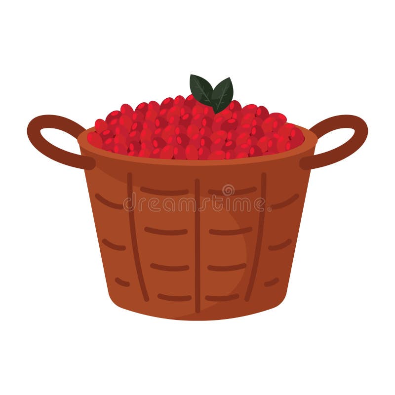 Basket of Red Coffee Fruit. Vector Stock Vector - Illustration of food ...