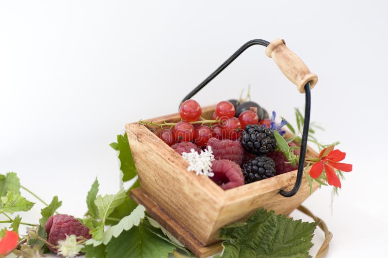 272 Summer Fruits Individual Stock Photos - Free & Royalty-Free Stock ...