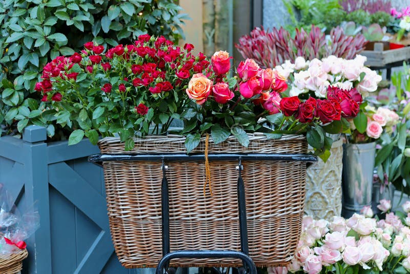 Basket of Roses stock image. Image of beauty, flower - 35532353