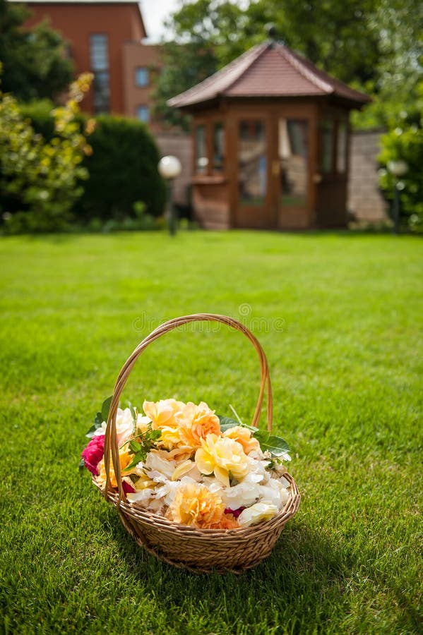 Basket of Roses in the Garden Stock Image - Image of leaf, flora: 154507969