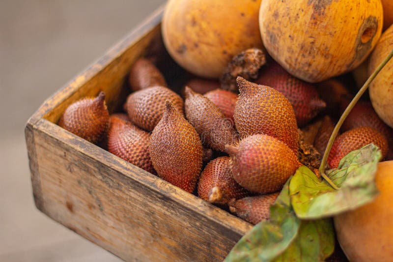Basket of Salacca (Snake Fruit) and Santol Stock Photo - Image of ...