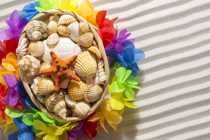 Basket of shells, sand stock image. Image of swim, vacation - 92764049