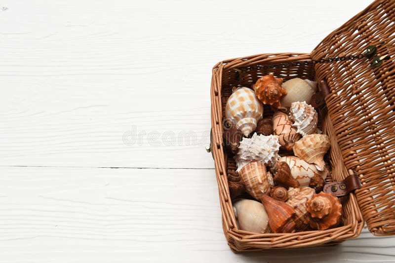 Basket of Shells stock image. Image of food, fresh, animal - 94439539