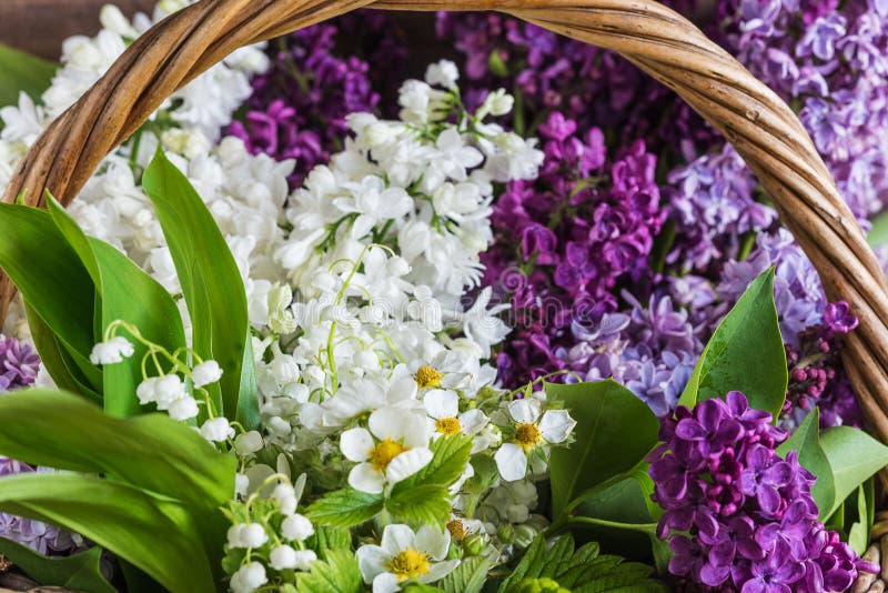 Basket with spring flowers stock image. Image of blooming - 93531987