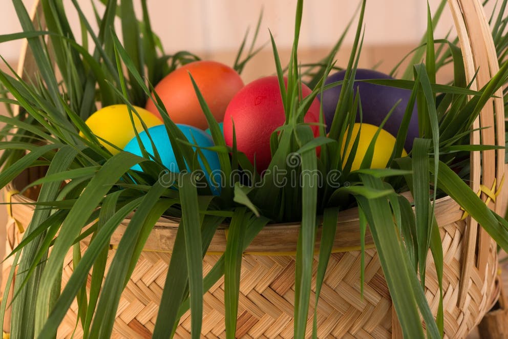 Basket of Spring Grass and Easter Eggs Stock Photo - Image of basket ...