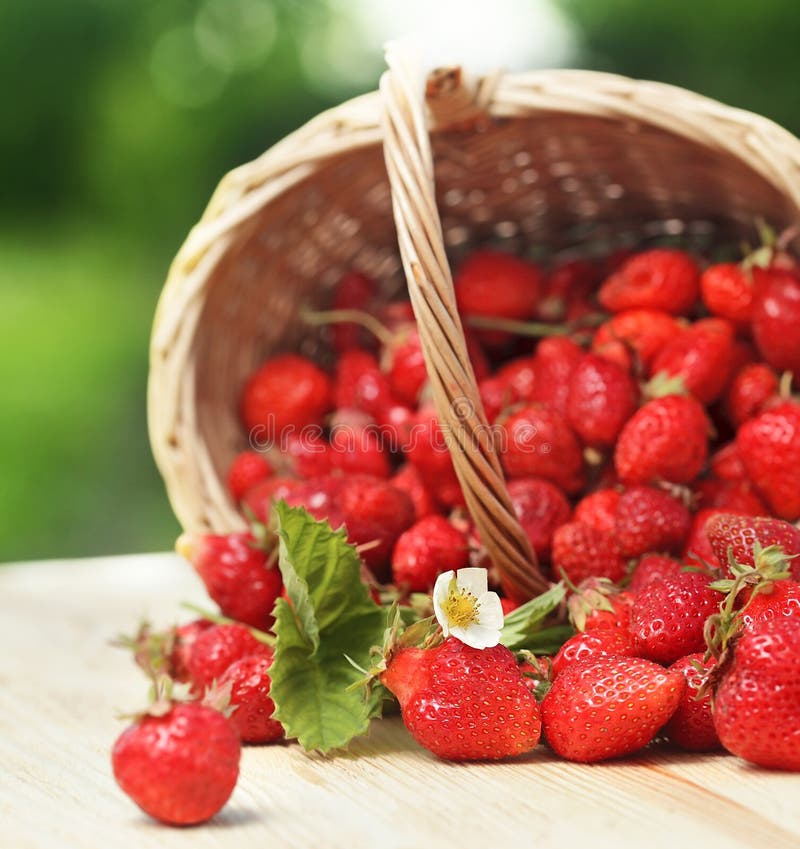 Basket with strawberry stock image. Image of bright, small - 46230347