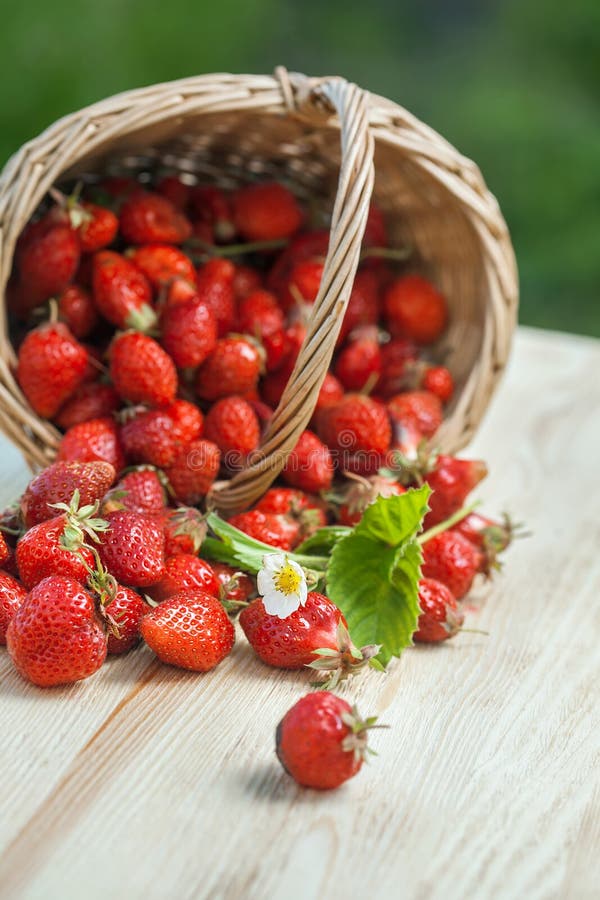 Basket with Strawberry on Table Stock Image - Image of container, green ...