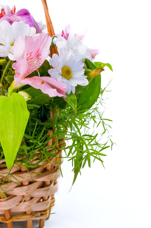 Basket with various colors stock image. Image of roses - 66254025