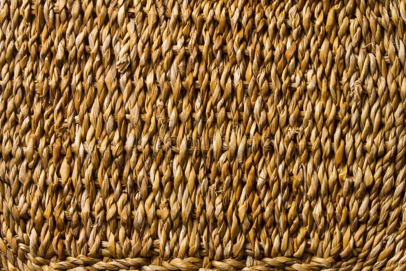 Reed Thatch stock image. Image of natural, bundle, straw - 2953325