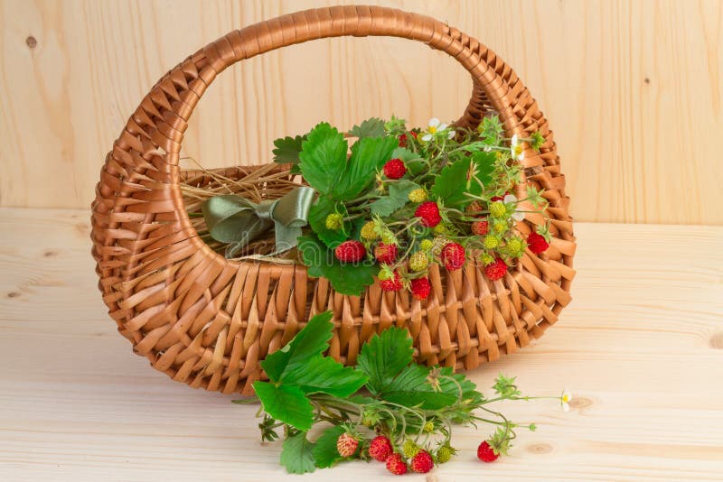 Basket with Wild Strawberries Stock Photo - Image of closeup, fruit ...