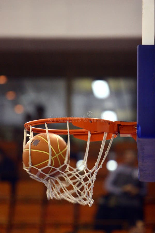 Basketball stock photo. Image of rope, basket, winners - 3555658