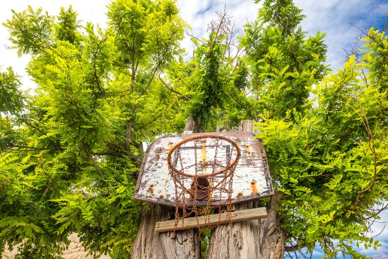 A Basketball Hoop Attached To a Tree Stock Photo - Image of activity ...