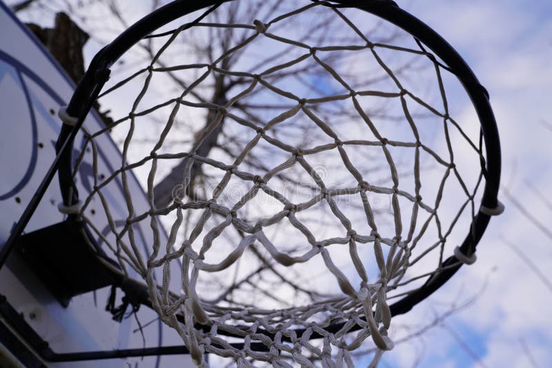 Basketball Hoop Hung on Attached a Tree Stock Photo - Image of ...