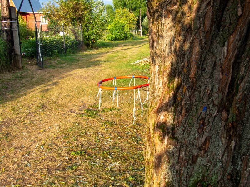 Basketball Hoop on a Tree in the Village Stock Image - Image of nature ...