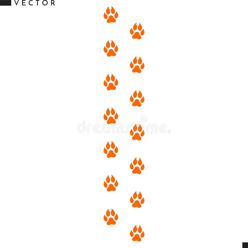 Fox Footprint Vector. Animal Track Stock Vector - Illustration of ...