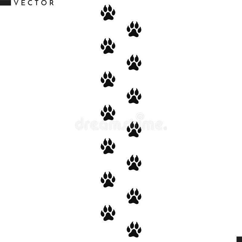 Wolf Paw Print. Jackal Paw Print Stock Vector - Illustration of ...