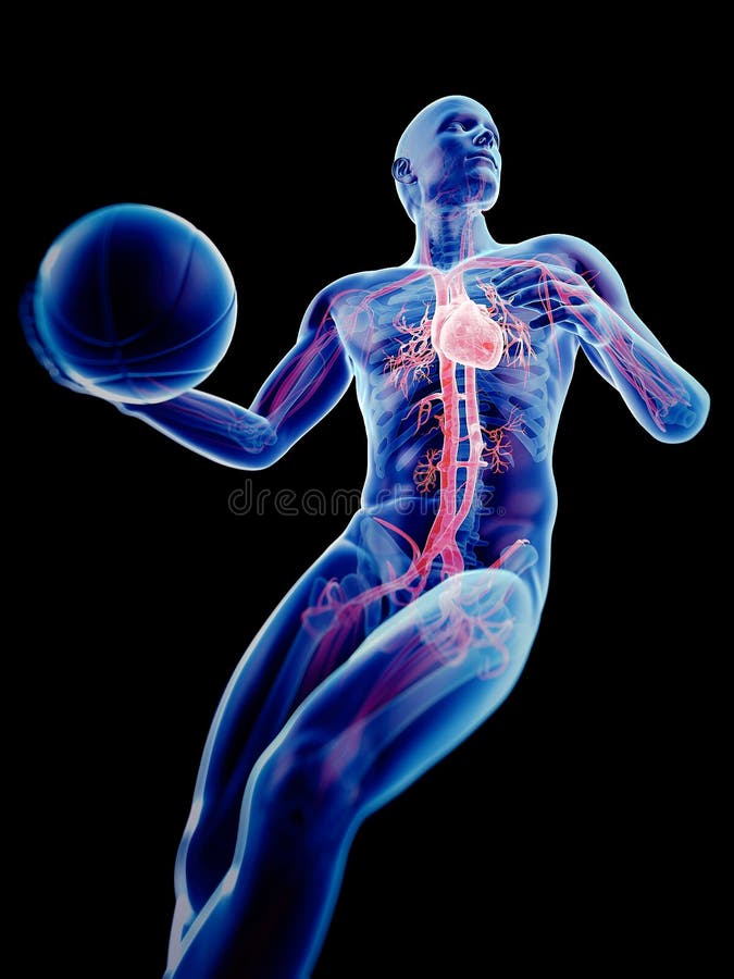 A basketball player stock illustration. Illustration of medical - 74820425