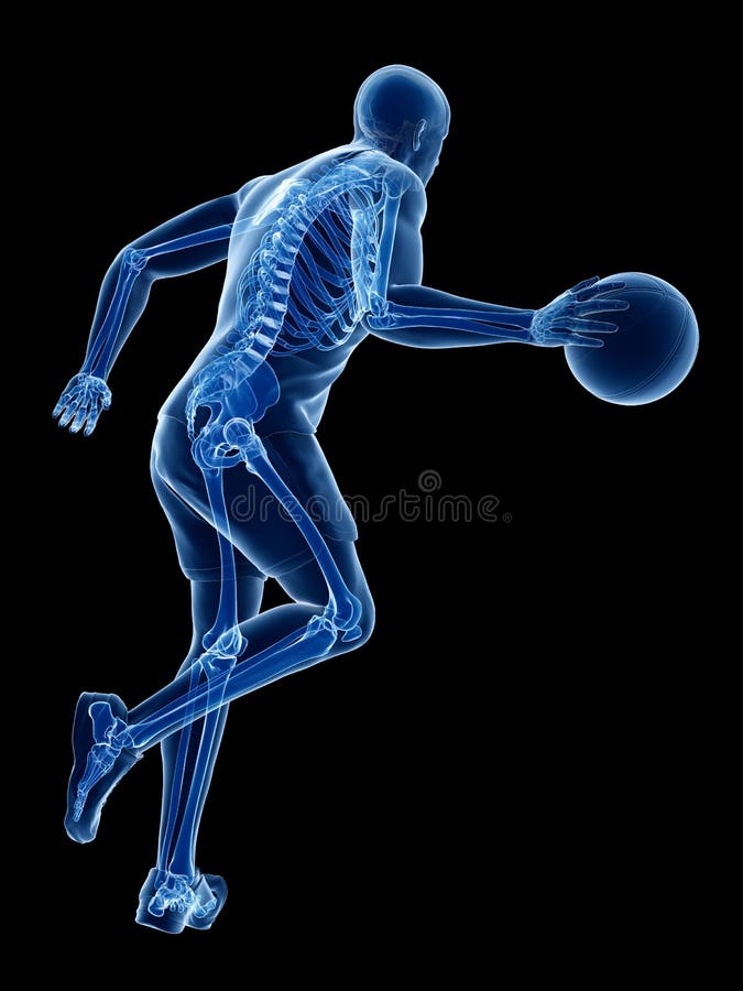 Basketball Human Skeleton Stock Illustrations – 57 Basketball Human ...