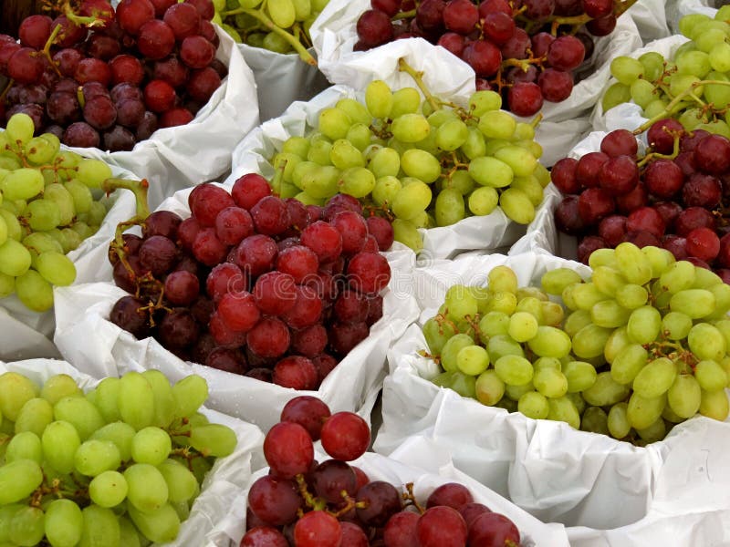 Baskets of grapes stock photo. Image of overflow, vivid - 15732596