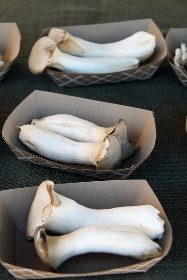 Baskets of mushrooms stock image. Image of basket, harvest - 32802933