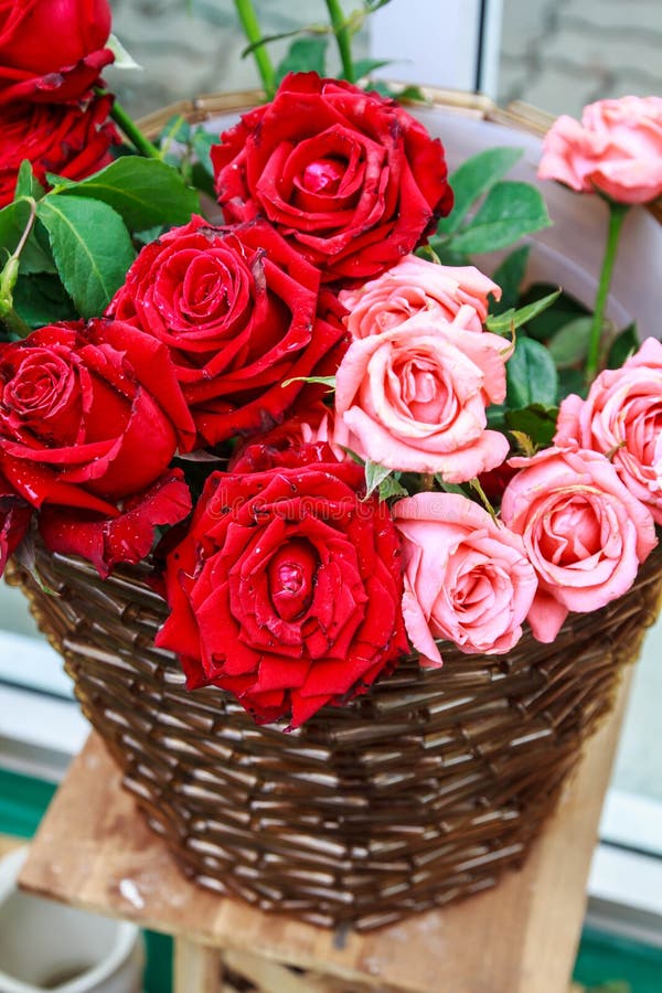 Baskets rose stock image. Image of fabric, green, light - 40083987