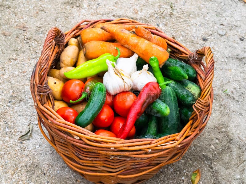 Baskets with Vegetables. Assorted . Rural Harvest Stock Photo - Image ...