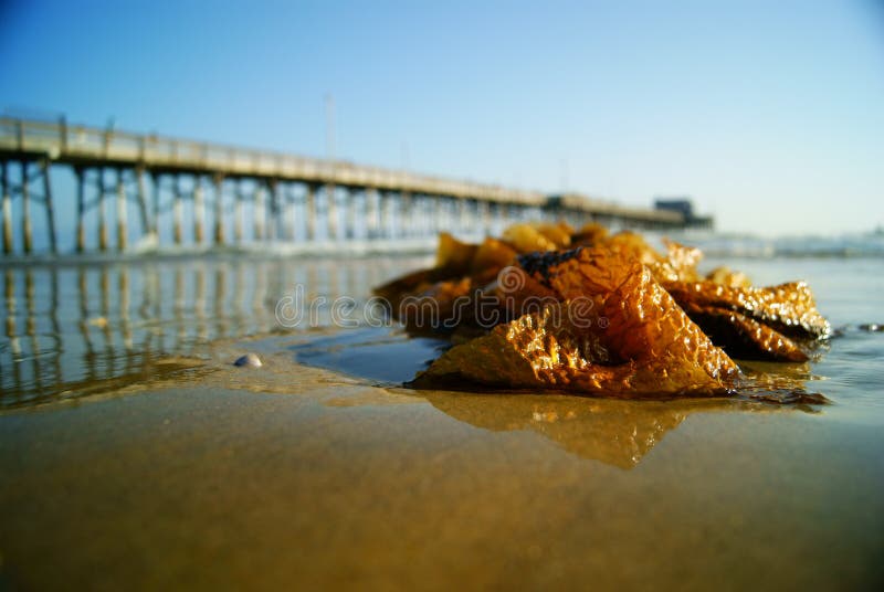 Free Nature pictures, photos & images - Royalty-Free and Public Domain ...