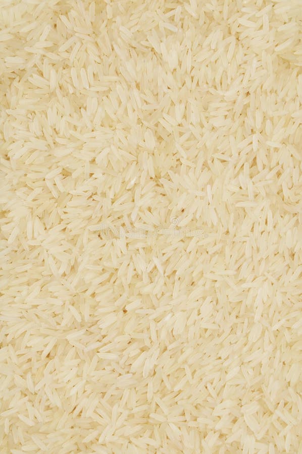 Basmati rice stock image. Image of grain, basmati, healthy - 9912563