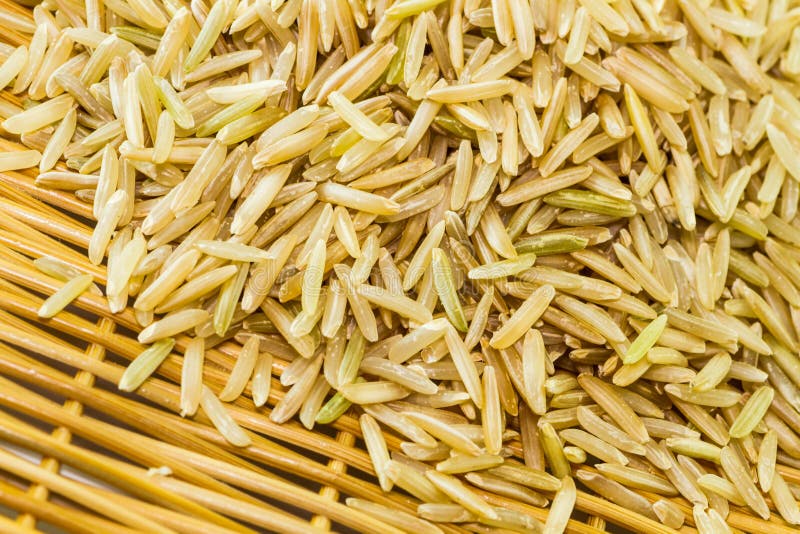 Basmati rice crop stock image. Image of cultivation, seed - 58504369